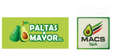 ¿Cuáles son los tipos de paltas chilenas? Tipos y características ...